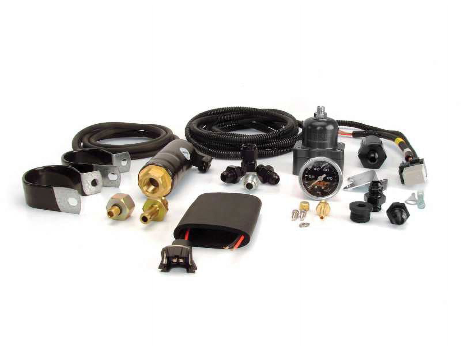 FAST Fuel Pump Kit EZ Efi Specific - Walmart.com