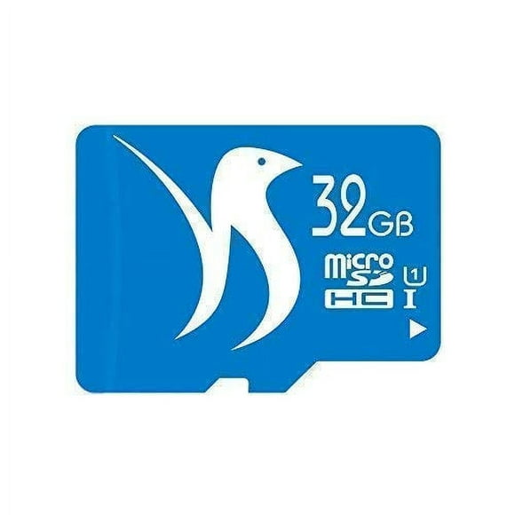 32GB Micro Class 10 SD Cards