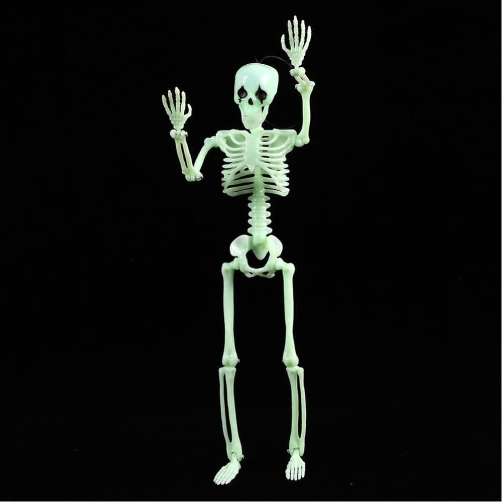 FC-16" Halloween Skeleton with Posable Joints, Full Body Realistic ...