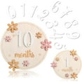 FC-Baby Monthly Milestone Cards with 11 Interchangeable Number Set of ...