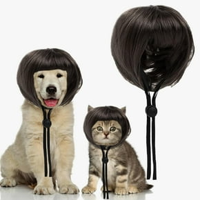 Cat Wigs