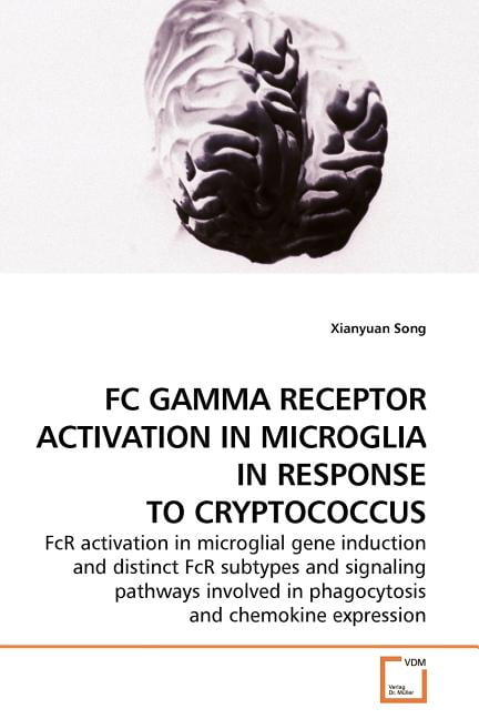 FC Gamma Receptor Activation in Microglia in Response to Cryptococcus ...