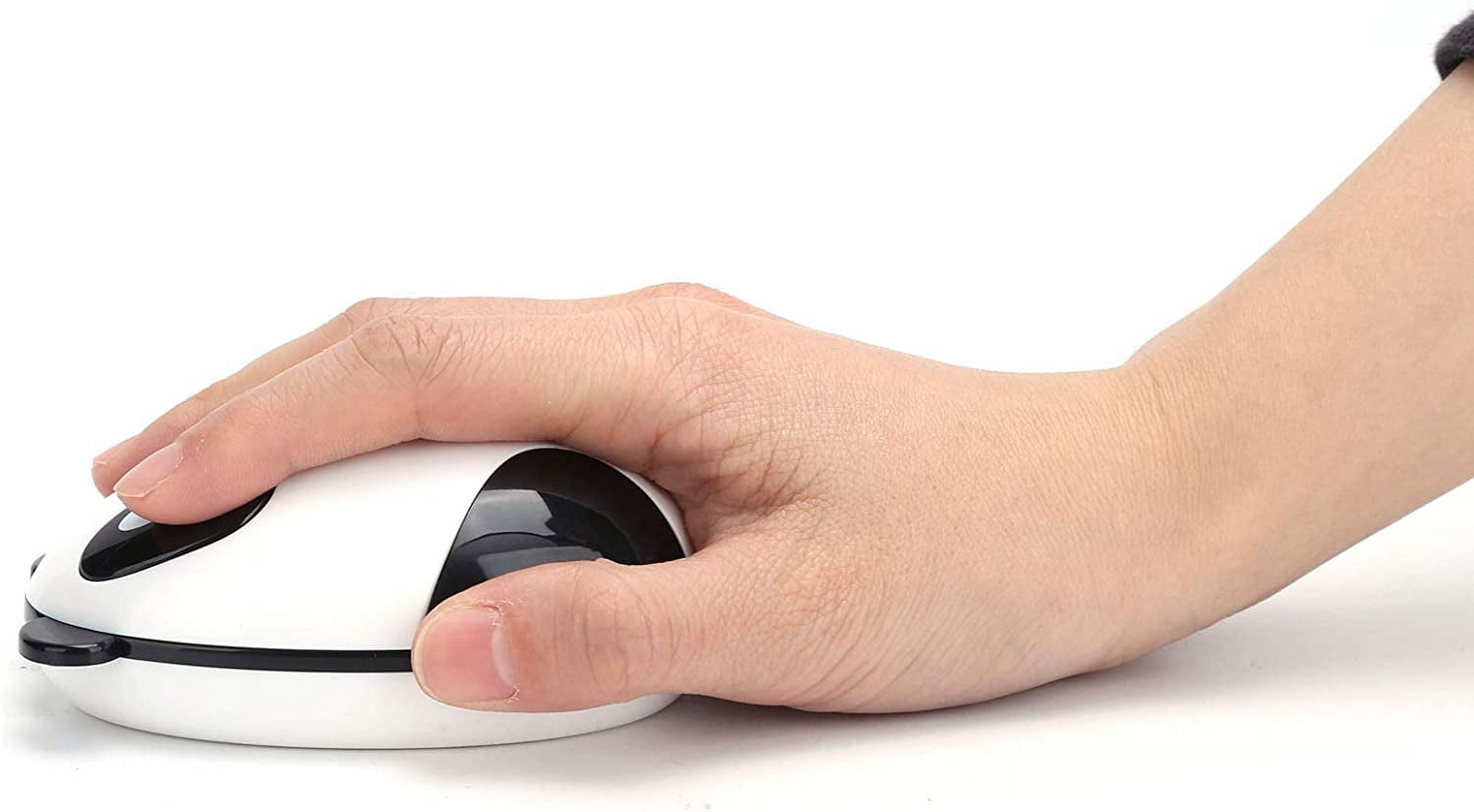 FC-Wireless Optical Panda Mouse, 2.4GHz, Rechargeable Gaming Mice, Plug ...