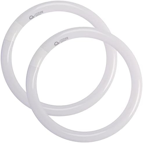 Circular Light Bulbs