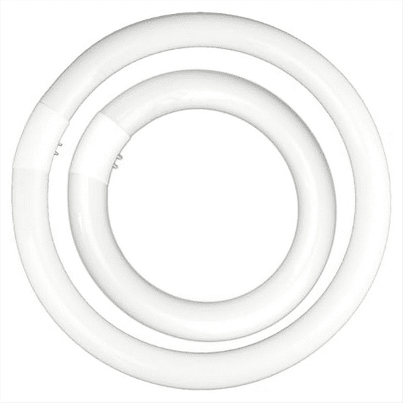 Circular Light Bulbs