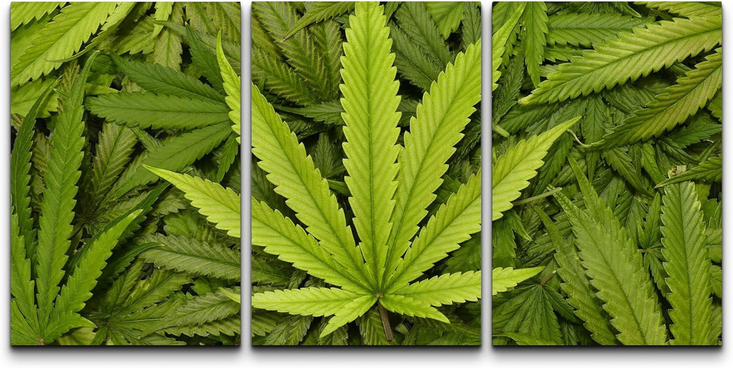 FCCUYE - 3 Piece Canvas Wall Art - Cannabis Texture Marijuana Leaf Pile ...