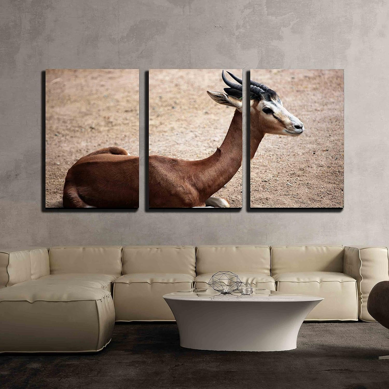 FCCUYE 3 Piece Canvas Wall Art - Maneless Zebra (Equus Quagga Borensis ...