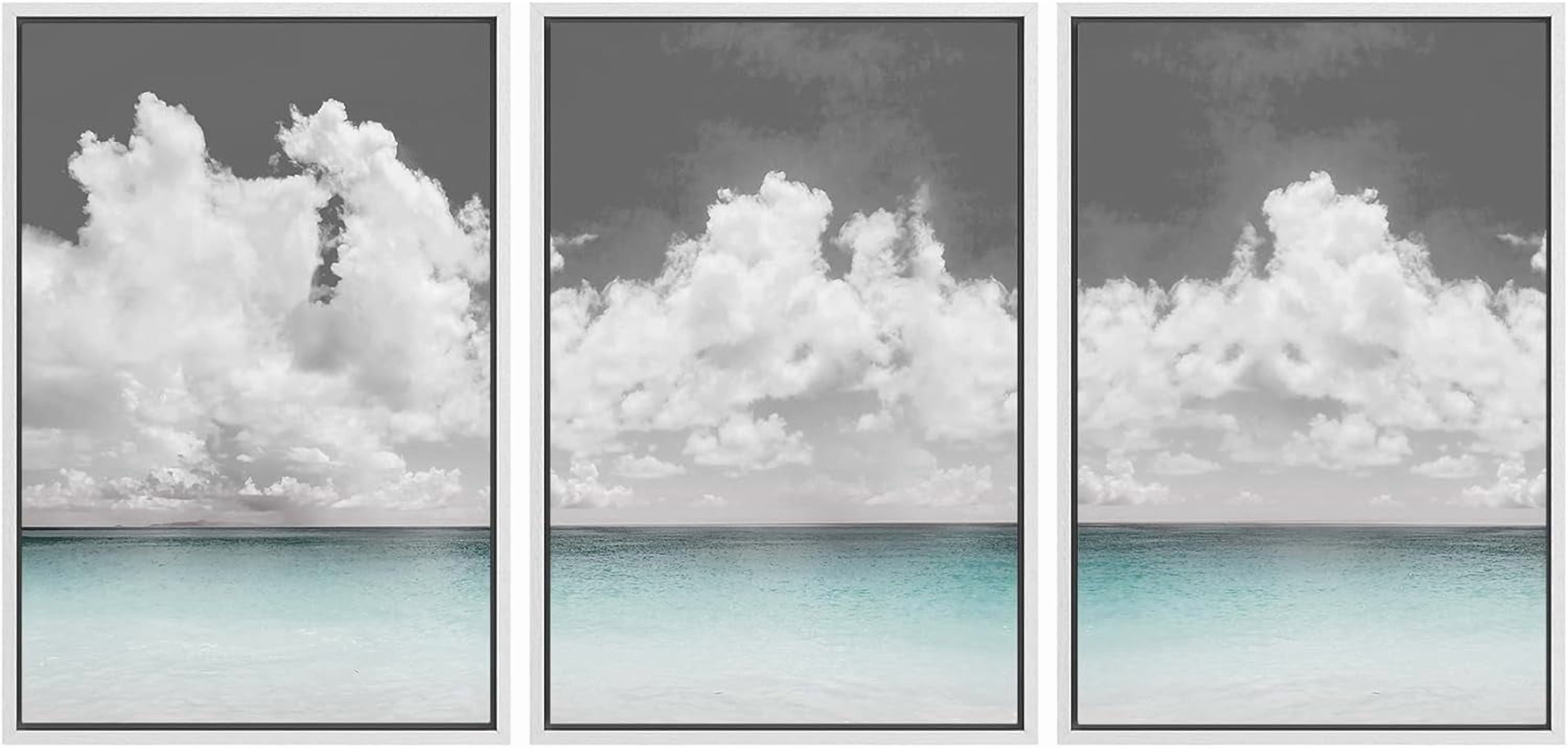 FCCUYE Framed Wall Art Print Set Trio of Zebra Succulents Floral Plants ...