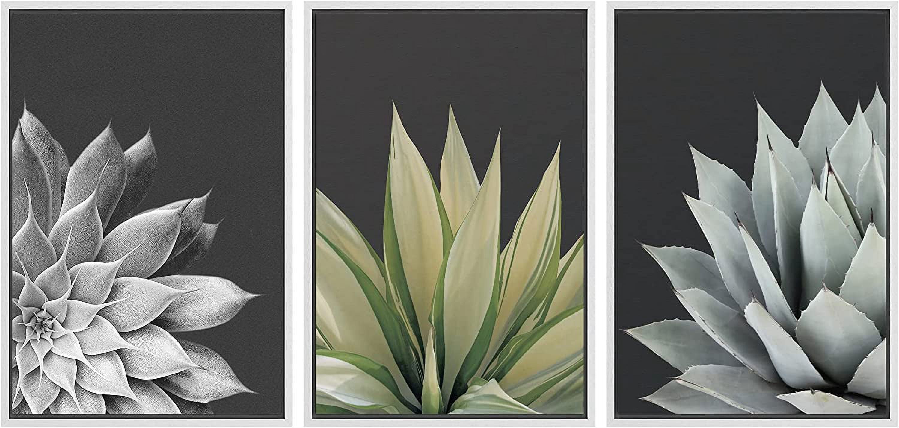 FCCUYE d Wall Art Print Set Desert Rose Echeveria Succulent Set Nature ...