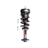 FCS Automotive International Complete Strut Assembly - Walmart.com