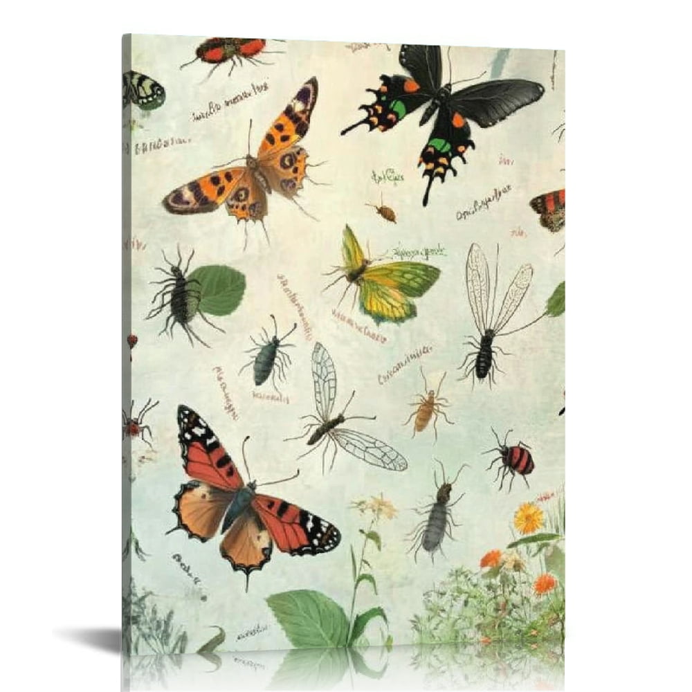 FCXZI Bug Butterfly Insects Wall Decor Canvas Prints Art 12x16 12x16in ...
