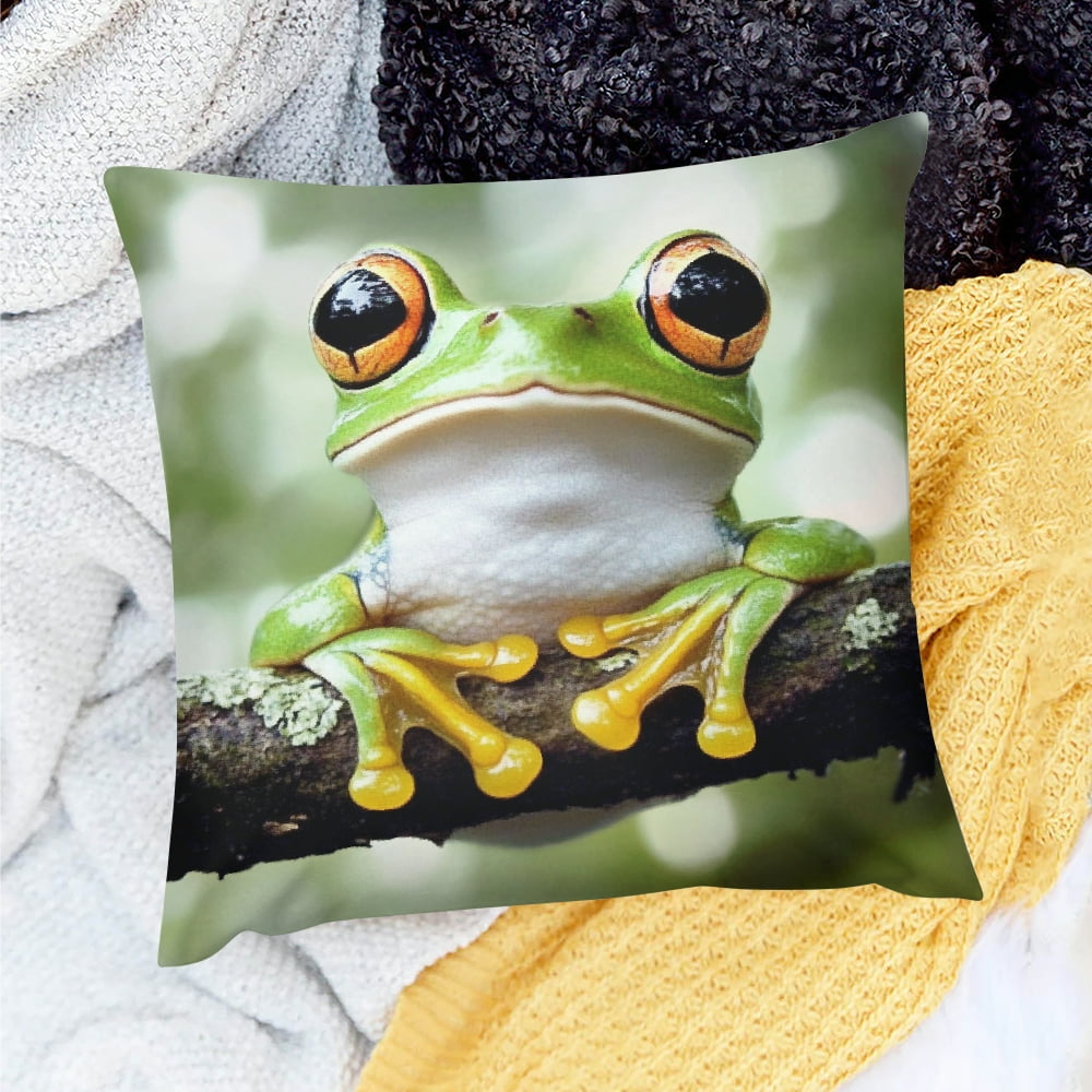 FCXZI Cute Frog Square Cushion Cover for Home Sofa Couch Linen 24x24in ...