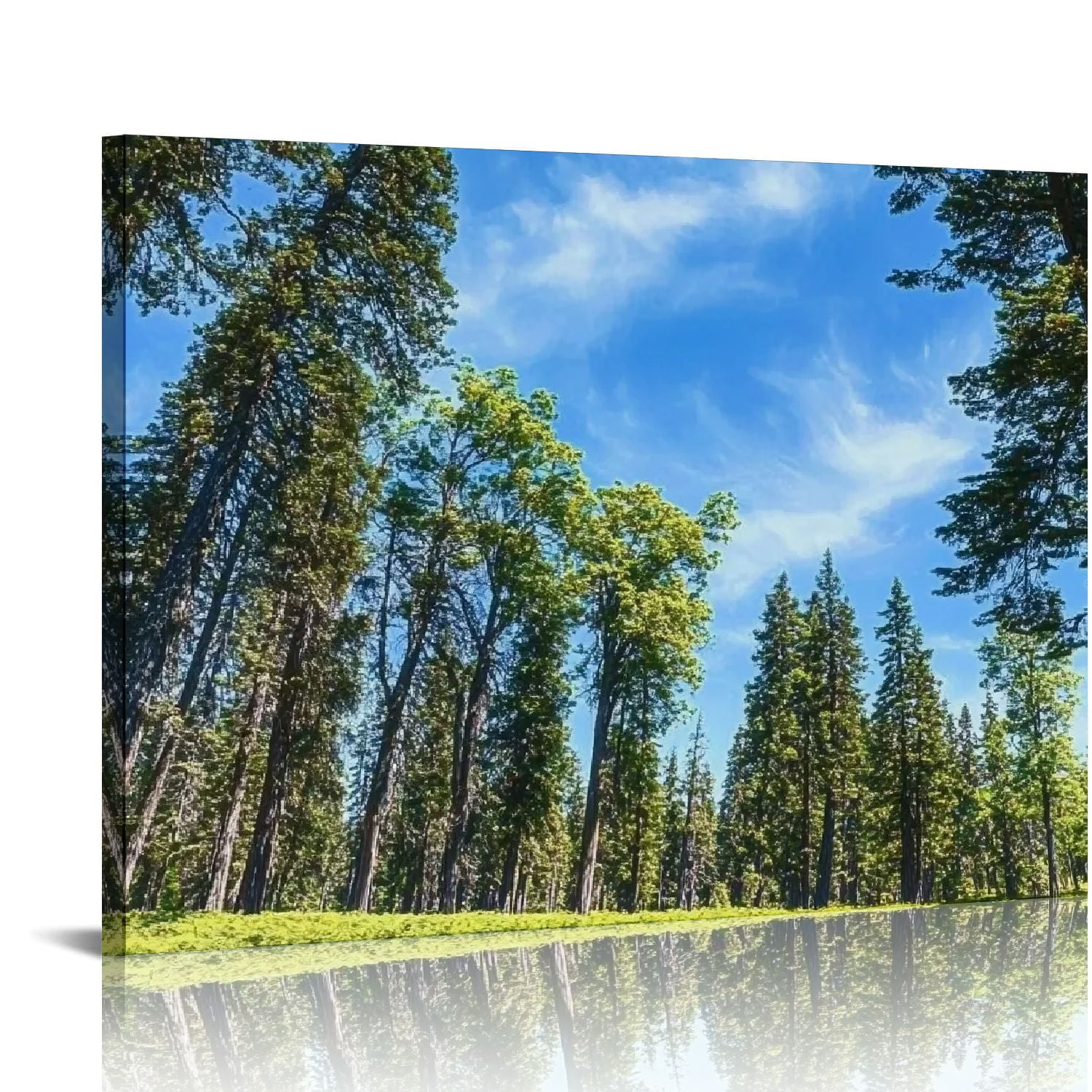 FCXZI Forest Canvas Wall Art Sequoia National Park Giant Cedar Trees ...