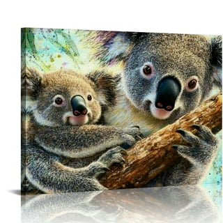 baby koala pictures to print