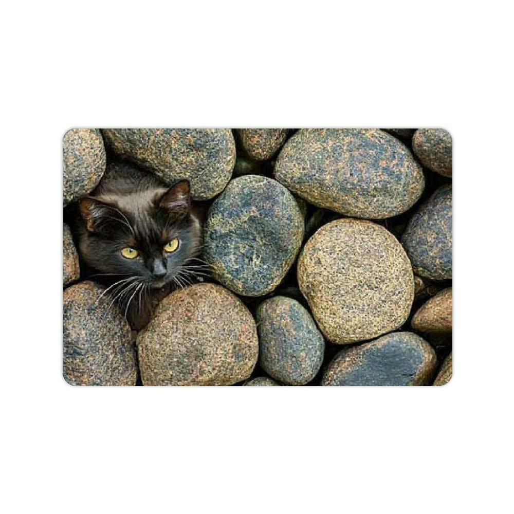 FCXZI River Rock Floor Mat, Nature Image Background Covered Smooth Sea ...