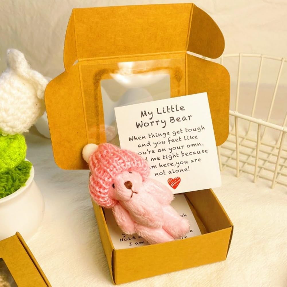 FCZRKD Little Bear in Box, My Little Worry Bear in a Box, Pocket Bears Hug, Handmade Mini Plush ...