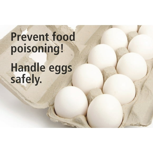 Food Safety Poster