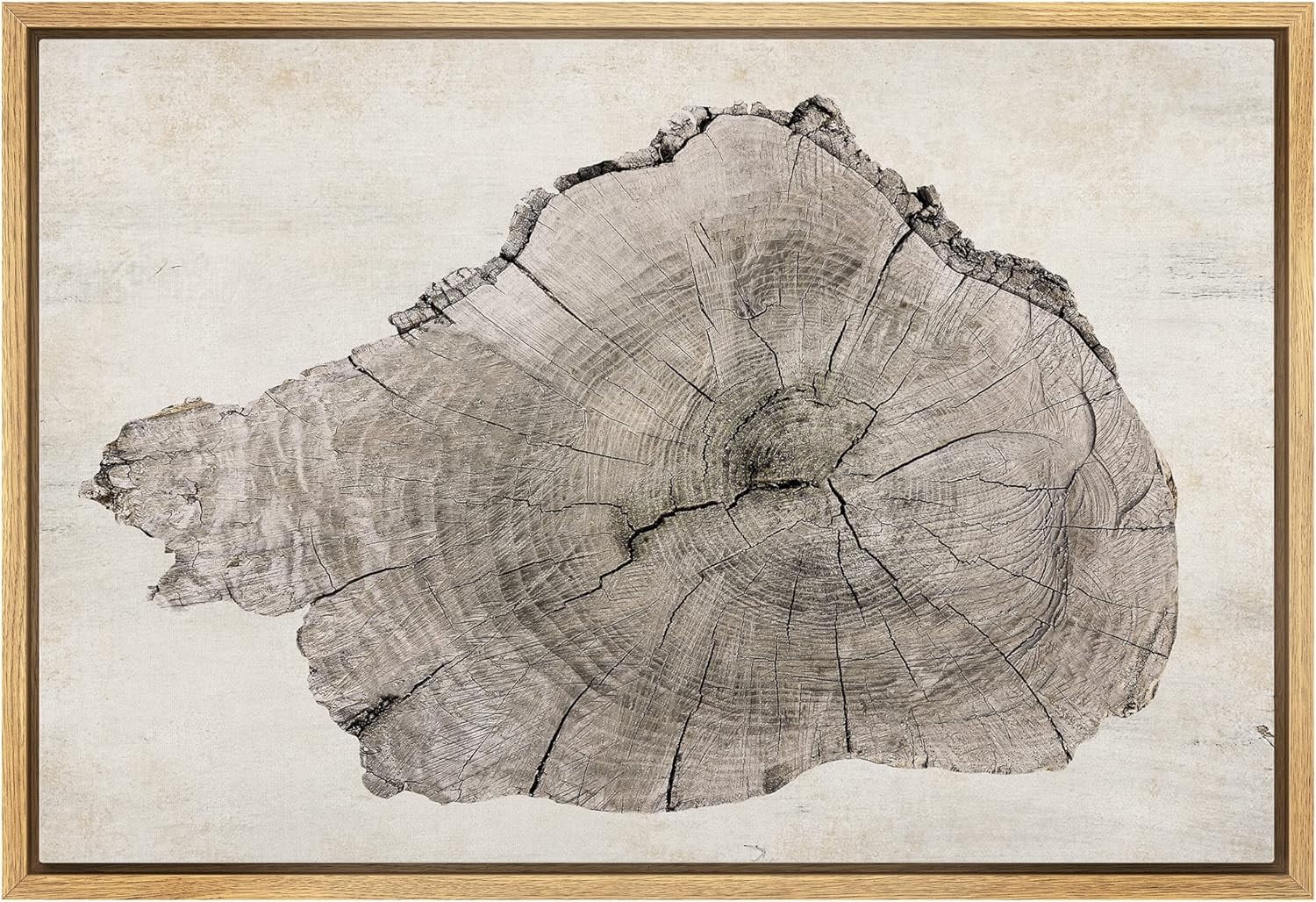 FDFW Canvas Prt Wall Art Close Up Detail Wood Tree Rg Log Nature ...