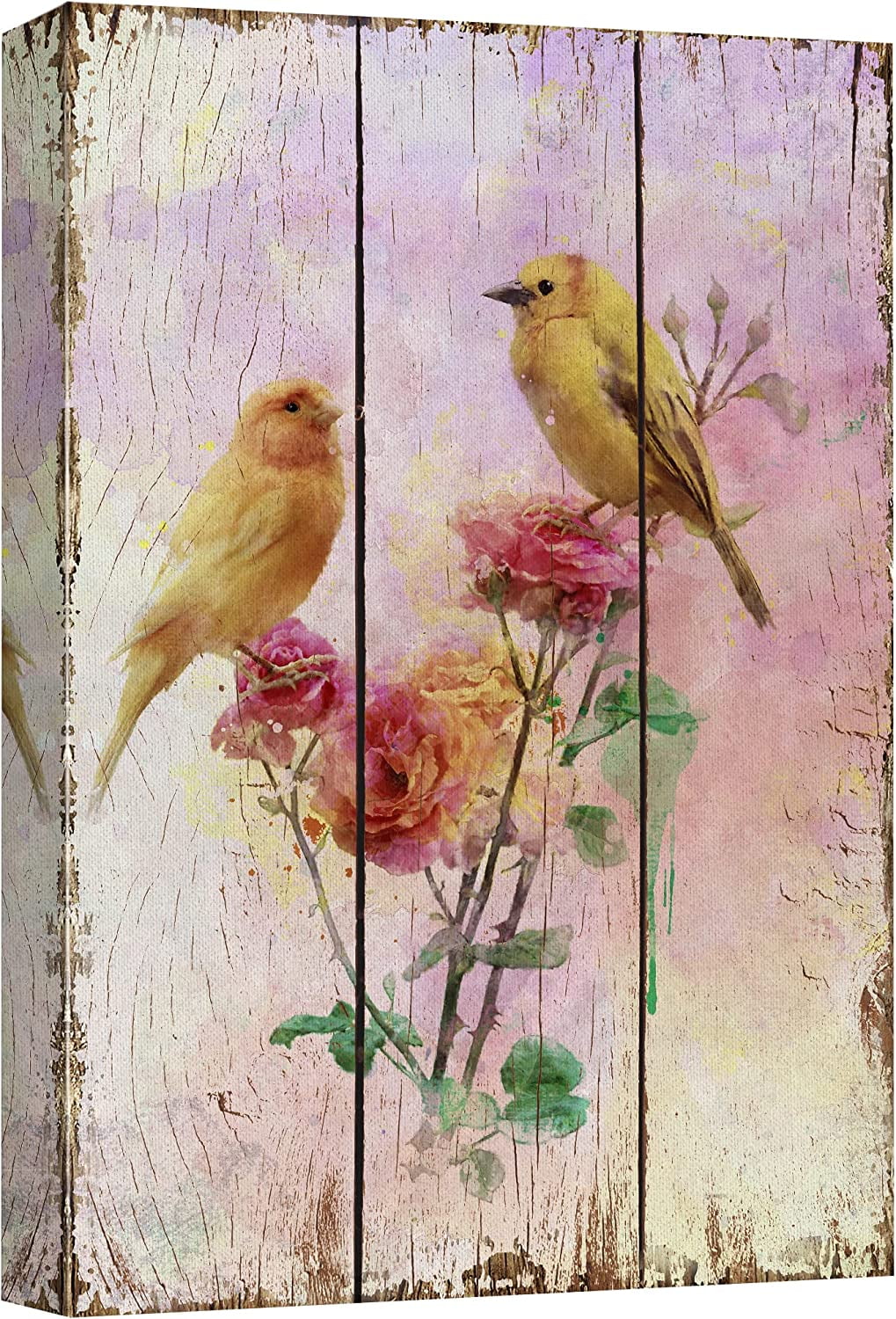 FDFW Canvas Prt Wall Art Watercolor Canary Birds & Roses on Wood Panels ...