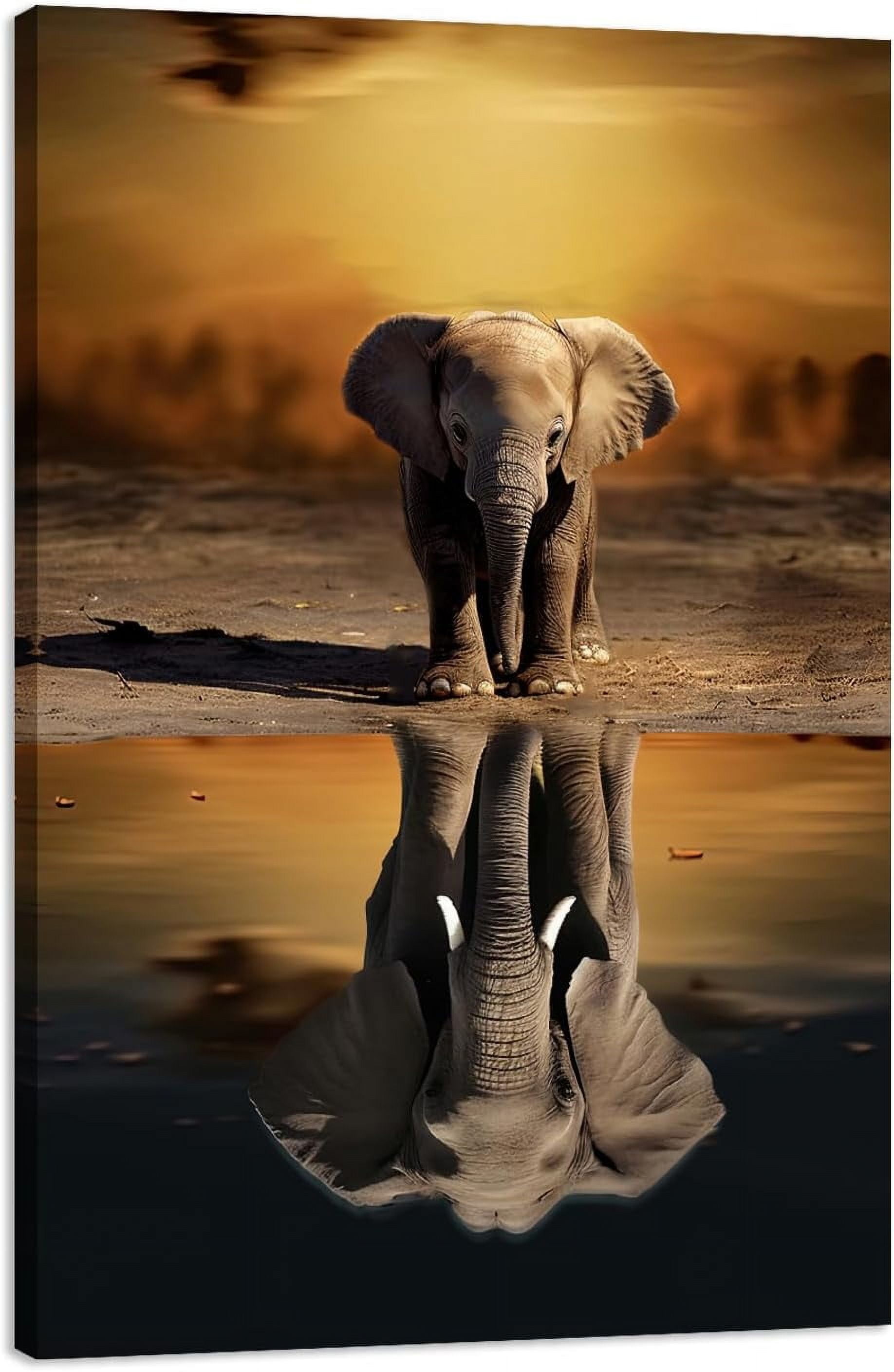 FDFW Elephant Canvas Wall Art, Mdset is Everythg Patg Prt spirational ...