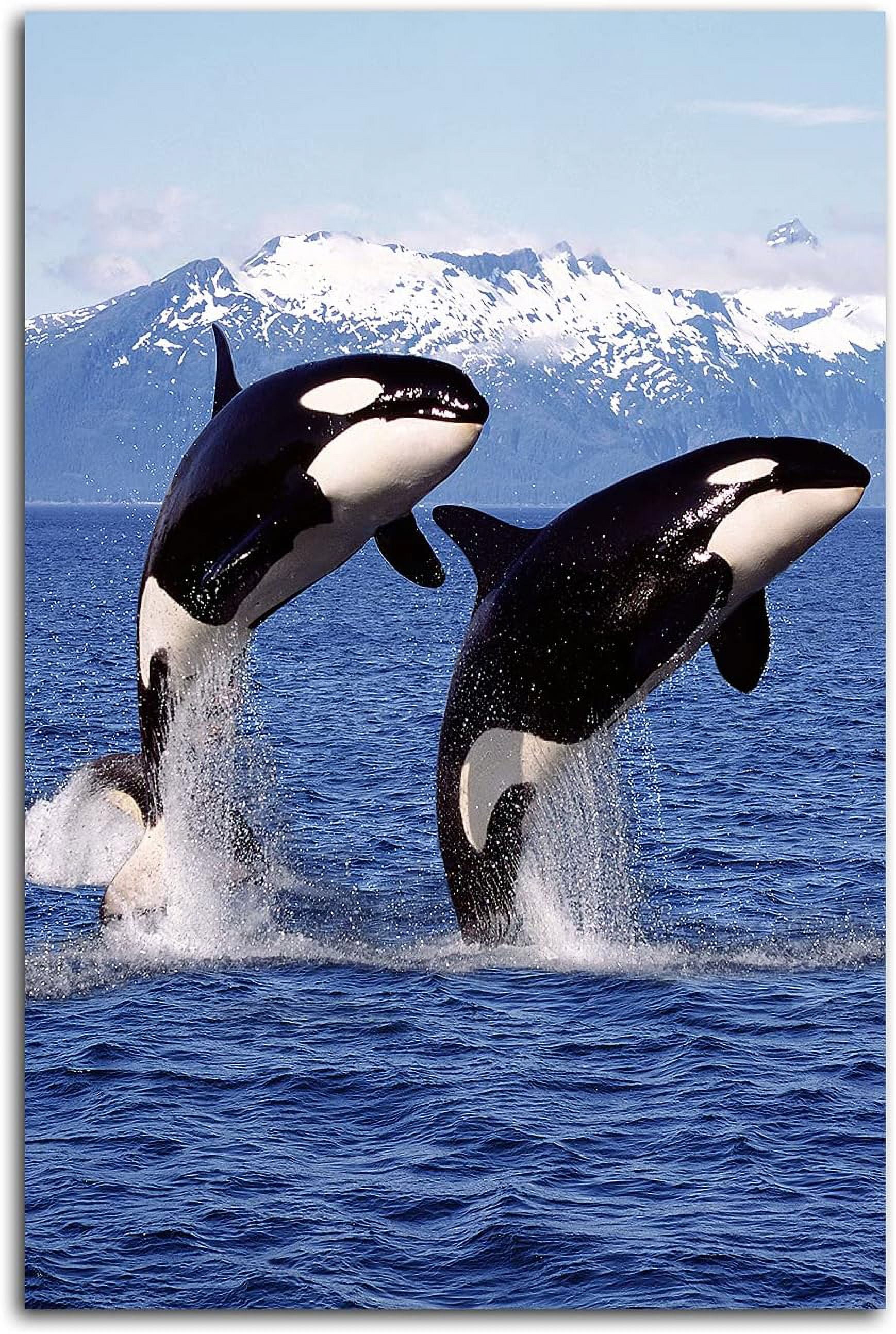 FDFW Orca Poster - Blue Ocean Theme Wall Art Decor for Livg Room ...