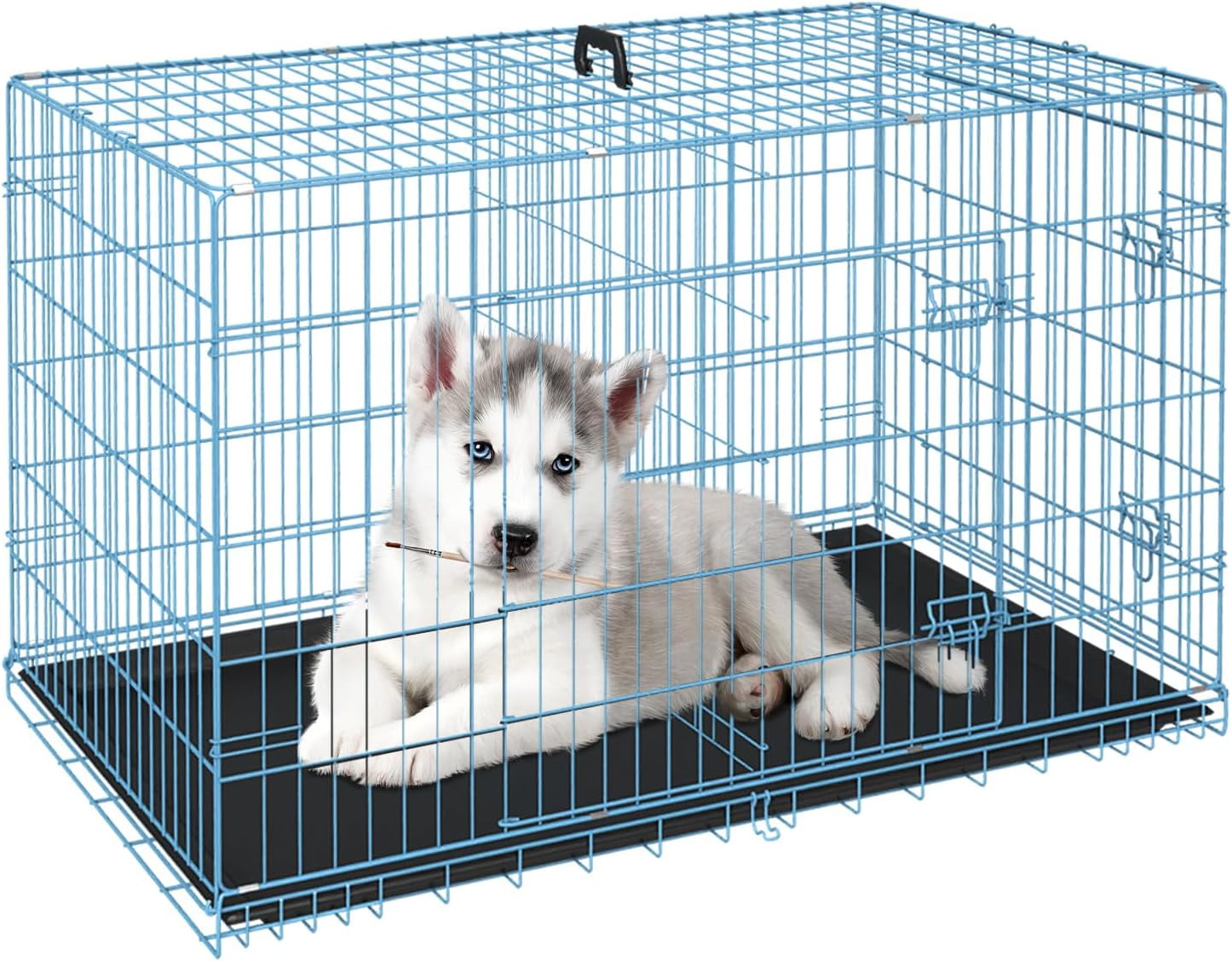FDW 24 inch Foldable Metal Dog Crate for Small Dogs, Double Door ...