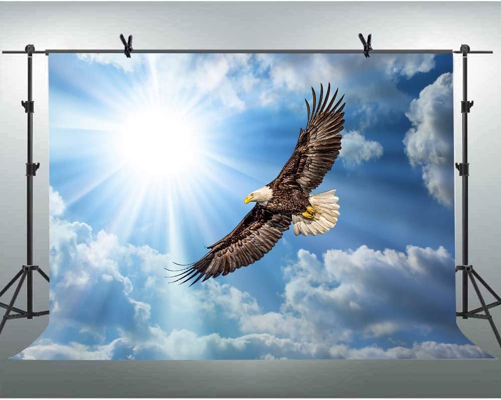 FEASRT Sunlight White Clouds Backdrops for Photography 10x7ft Flying ...