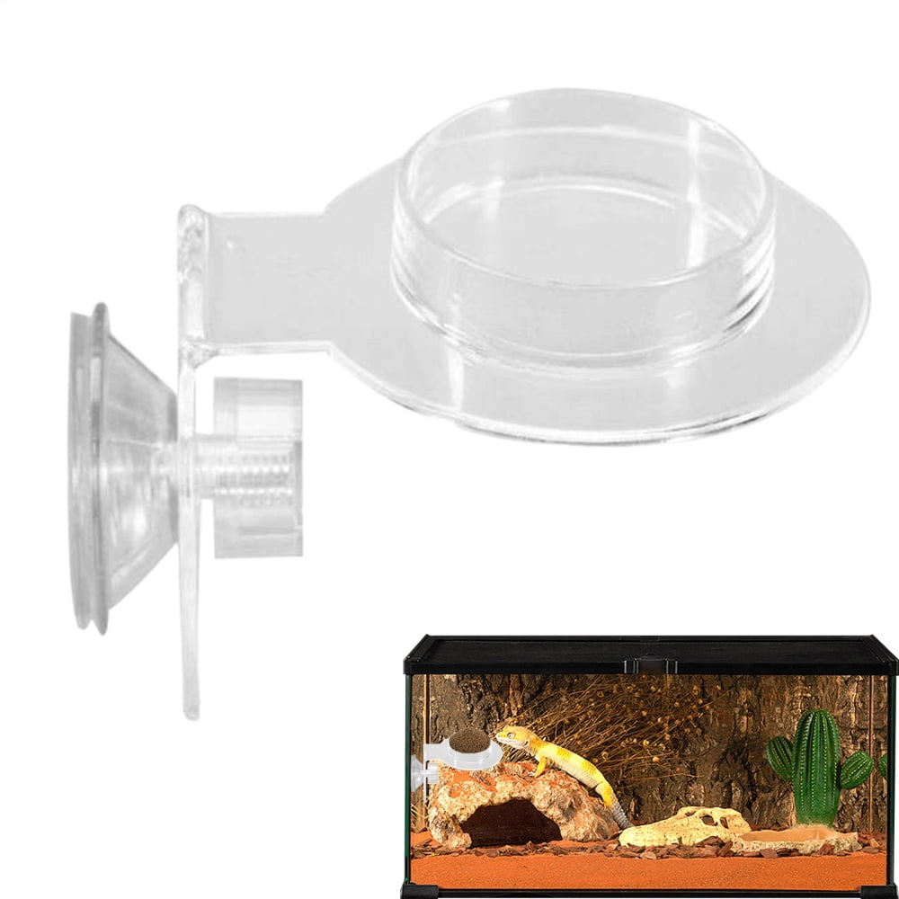 FEBUD Reptile Water Dish Tank Accessories Reptile Food Bowl Small ...