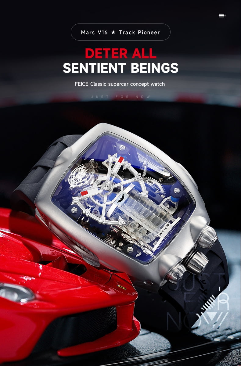 Feice Watch - Walmart.com