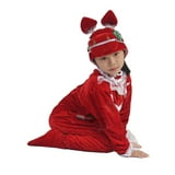 FEIFLY Child Outfits Sets Children Animal For Family Dance Performance ...