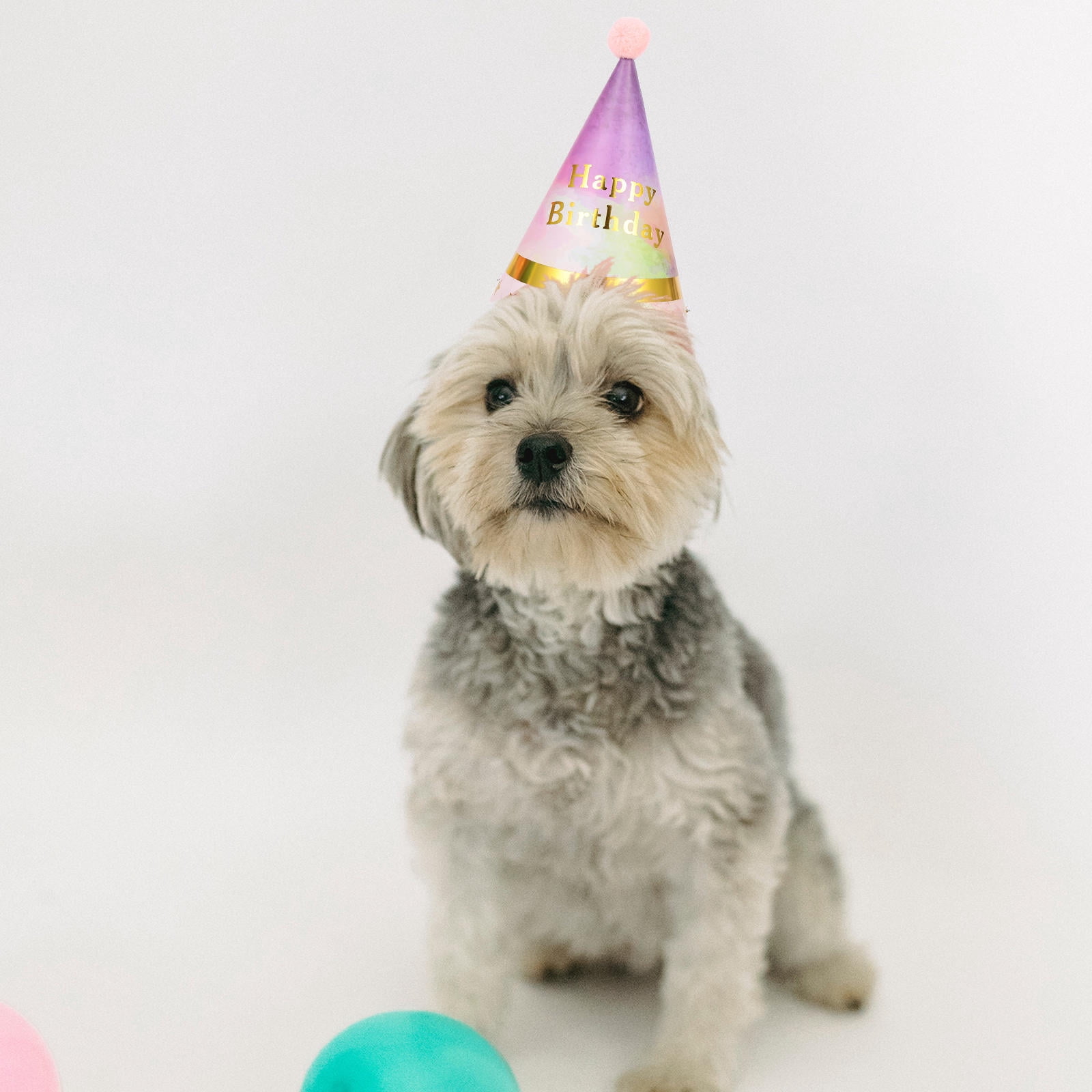 FELTECHELECTR 10Pcs Paper Cone Dog Birthday Hats Bulk for Pet Party ...