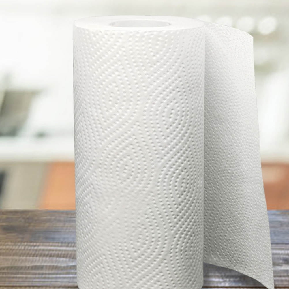 FELTECHELECTR 5 Rolls Oil Absorbing Sheets for Food from Kitchen Paper ...