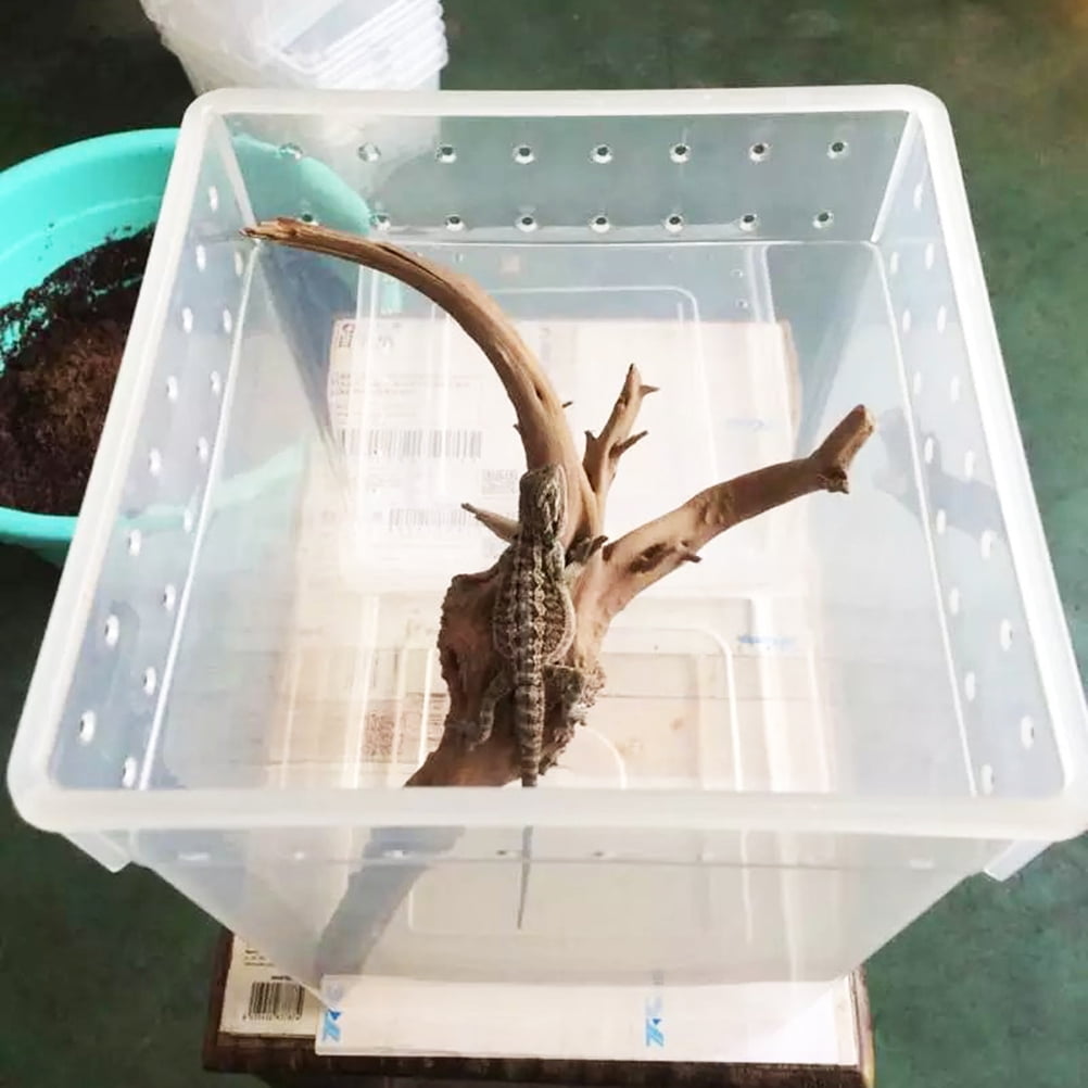 FELTECHELECTR 54Pack Reptile Raising Box with Ventilation for Spider ...