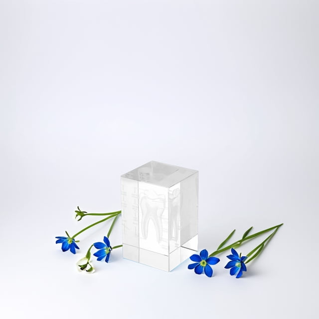 FELTECHELECTR Heart Model 3D Human Tooth Anatomical Model Crystal Glass ...