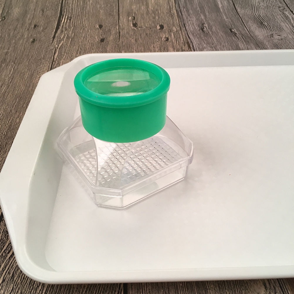 FELTECHELECTR Insect Observation Box with 3X Magnifier for Kids ...