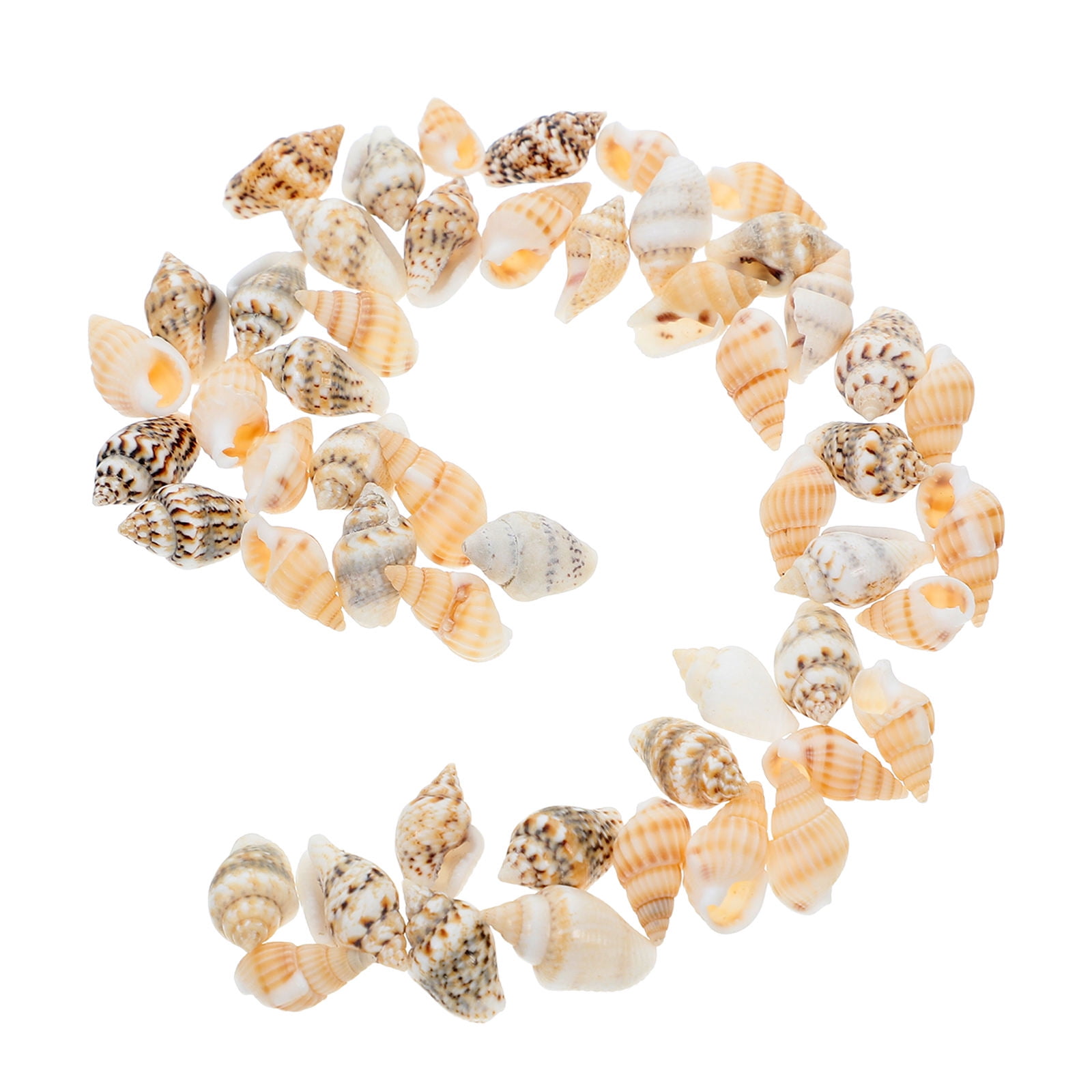 FELTECHELECTR Seashells for Decoration 50Pack Miniature Beach Props ...