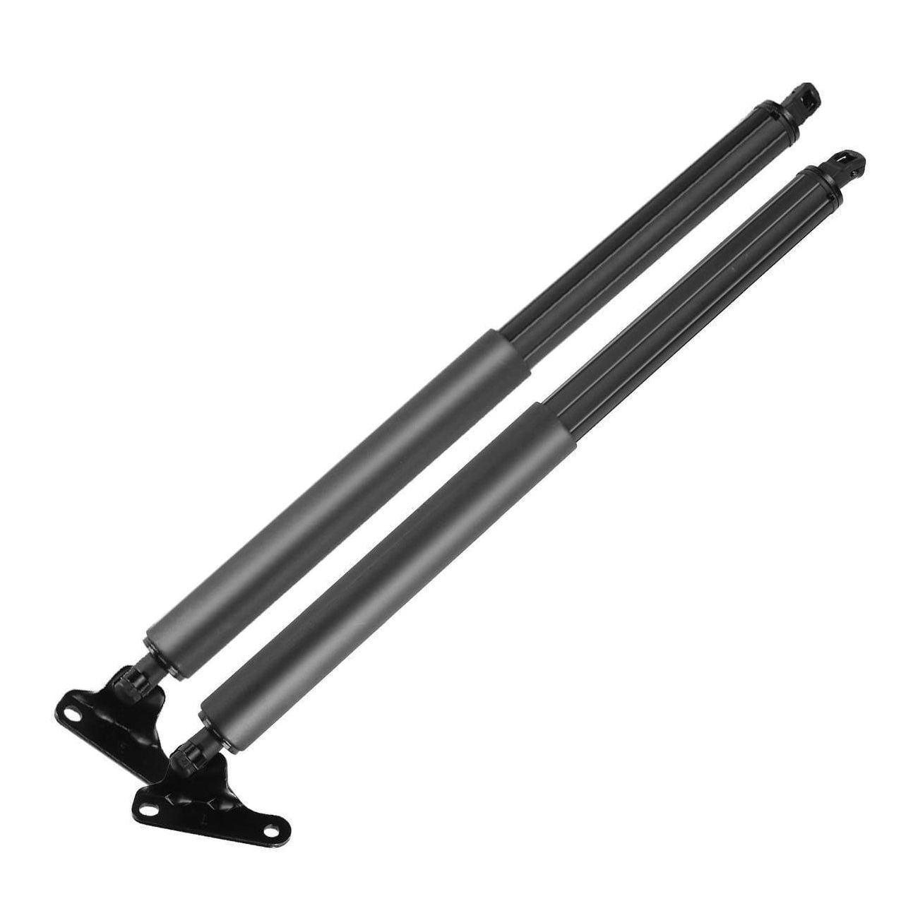 FEMPRXZ 2pcs Tailgate Liftgate Lift Supports Rear Side Black Steel with ...