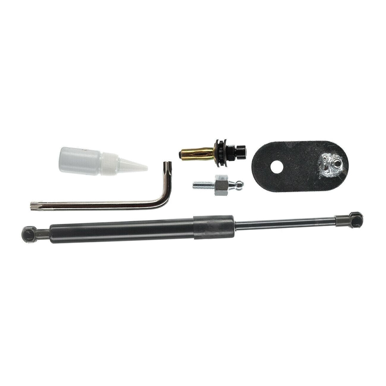 FEMPRXZ Tailgate Trunk Assist Struts Assembly for F150 1999-2004 for ...