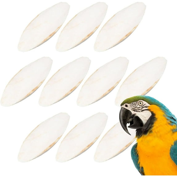 FENGBird Cuttlebone for Parakeets,10 pcs Cuttlebone for Birds, Natural ...