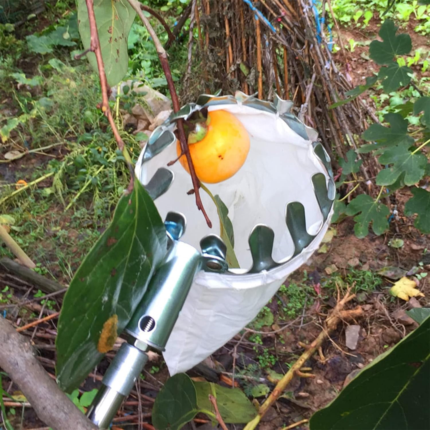 FENGFruit Picker Tool, Fruit Picker Head Harvest Basket, Fruit Picker Pole Tool, Fruit Picker ...