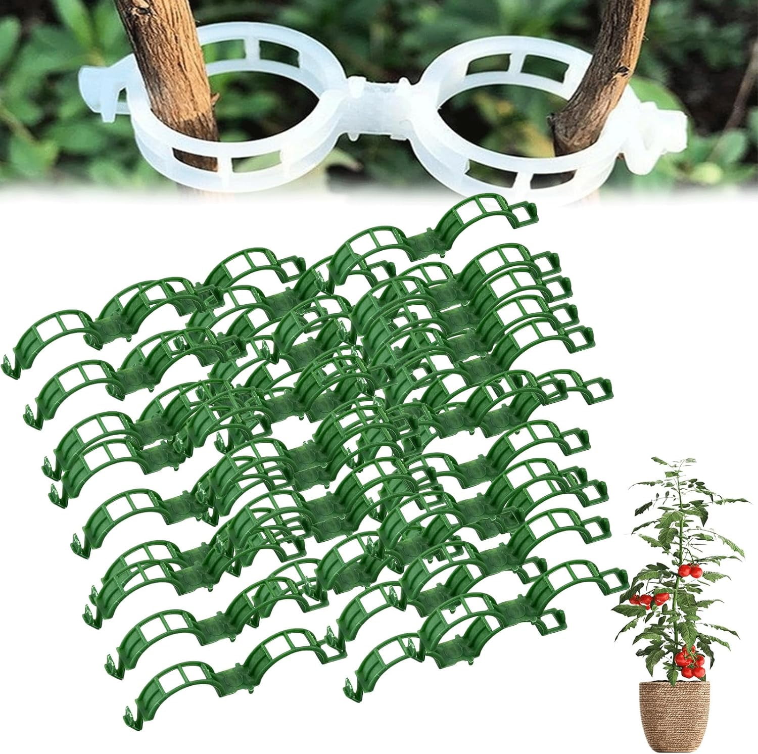 FENGSecured Plastic Plant Clip,2024 New Plant Clips For Climbing Plants ...