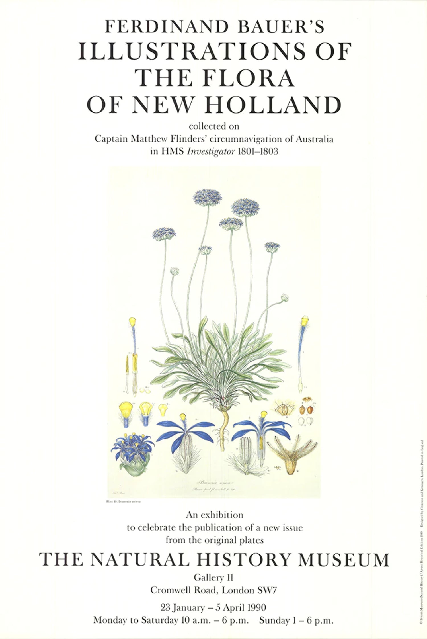 FERDINAND BAUER Illustrations of the Flora of New Holland, 1990 ...