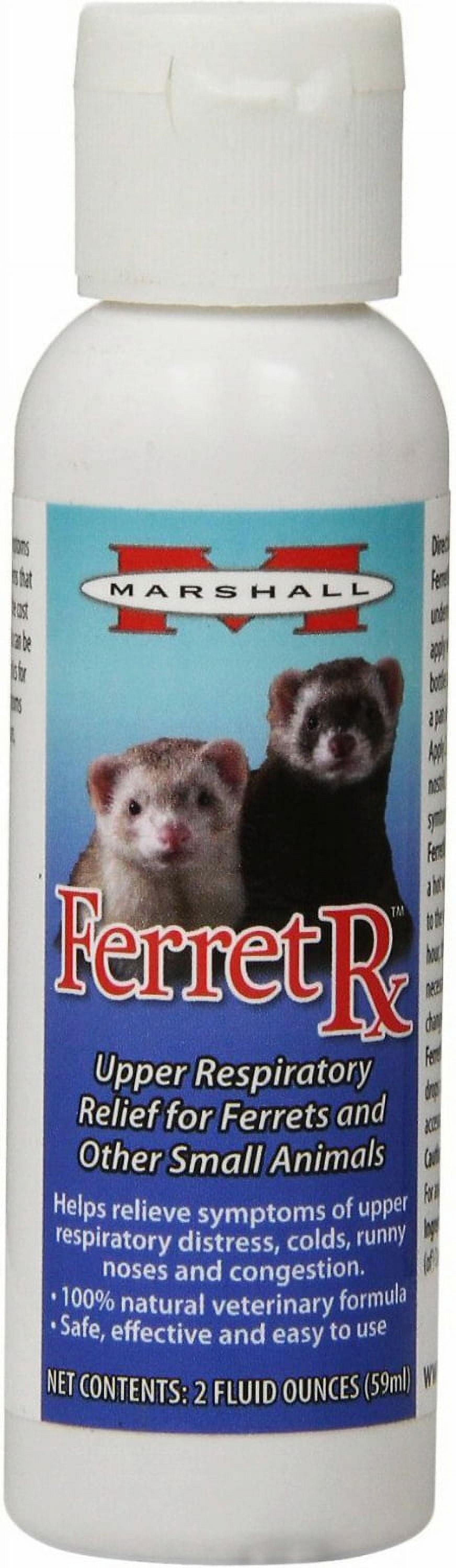 FERRET RX UPPER RESPIRATORY TREATMENT(Pack of 1) - Walmart.com