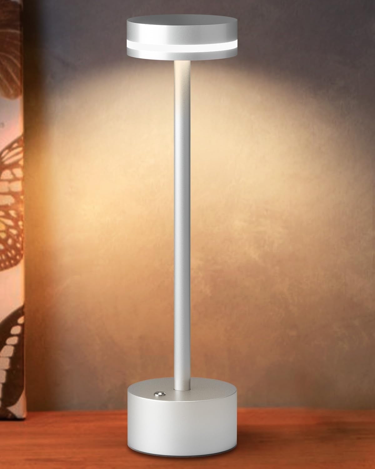 FERSWE Portable LED Desk Lamp - Rechargeable Touch-Control Table Lamp ...