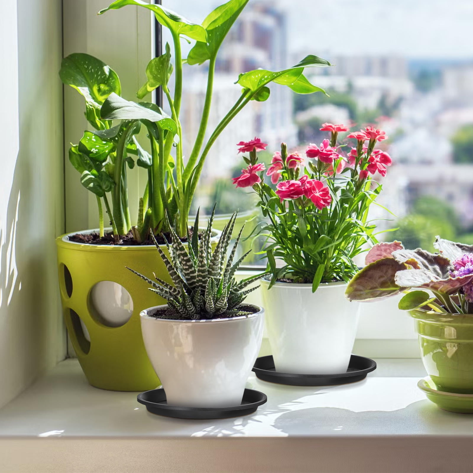 FESTFENDS 10Pcs Planter Dish Storage Plates Black PP Water Collection ...