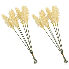 Corn Stalks