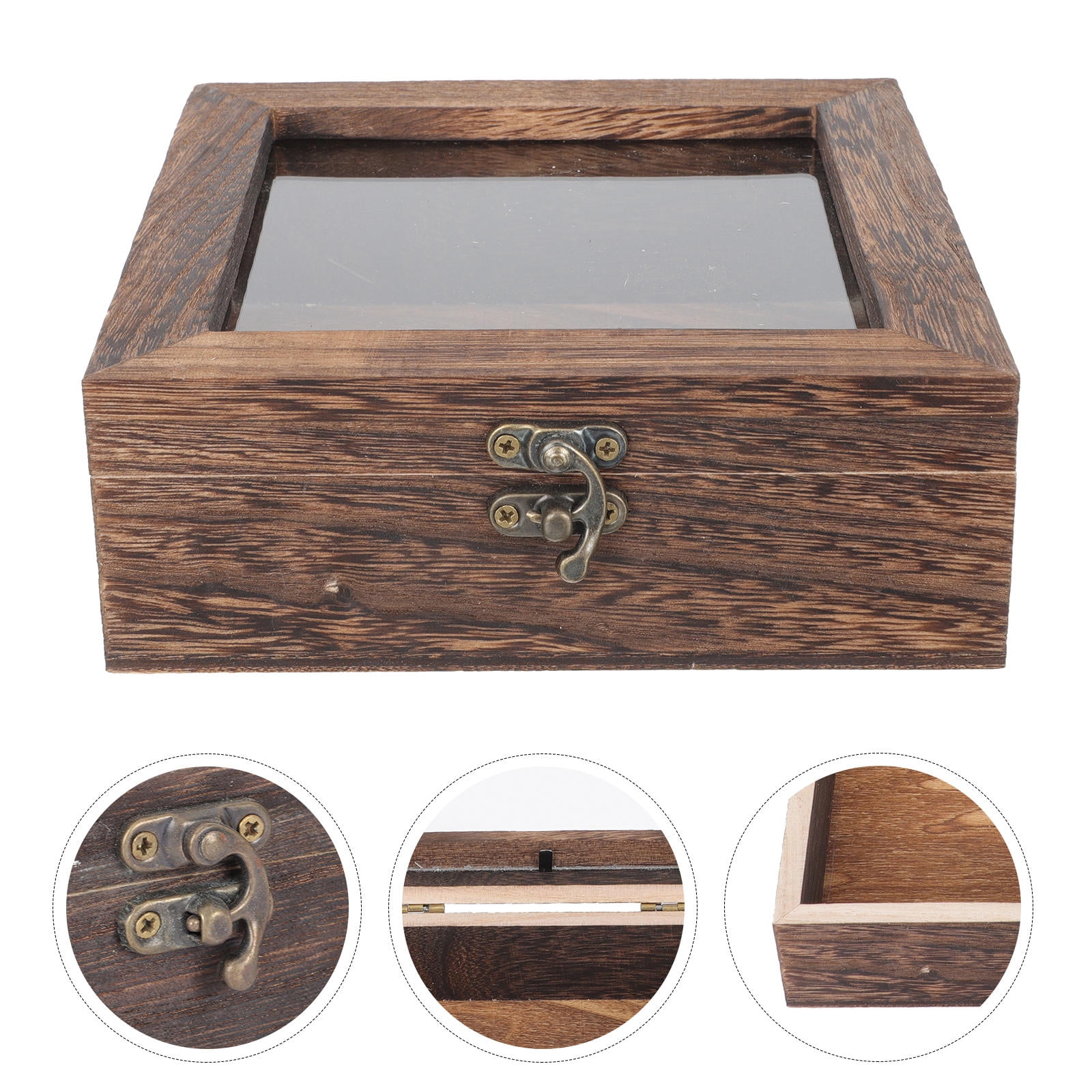 FESTFENDS 1Pcs Insect Specimen Display Box Rectangular Shape for ...