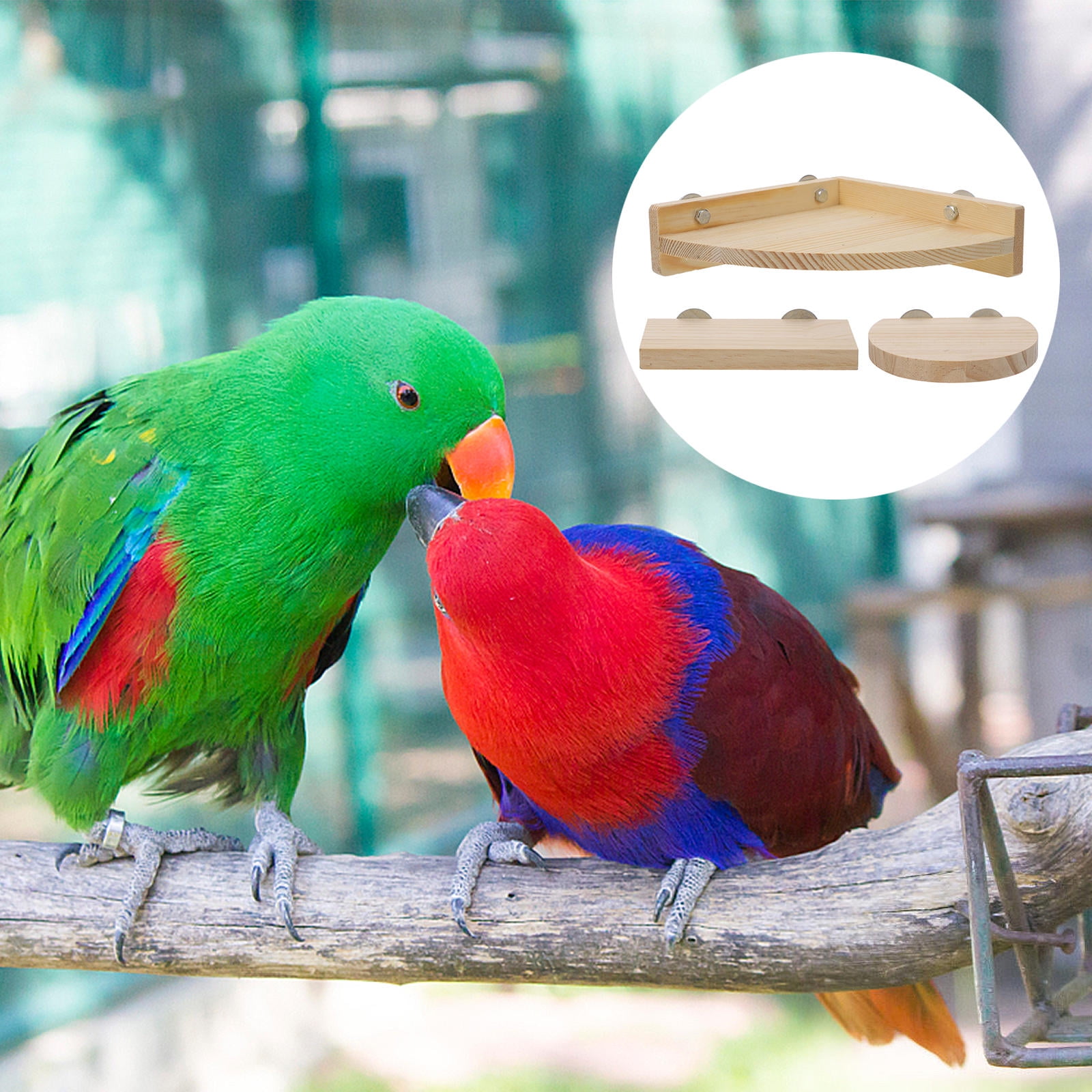 FESTFENDS Parrot Wood Platform 3Pcs Khaki Color for Bird Cage Use and ...