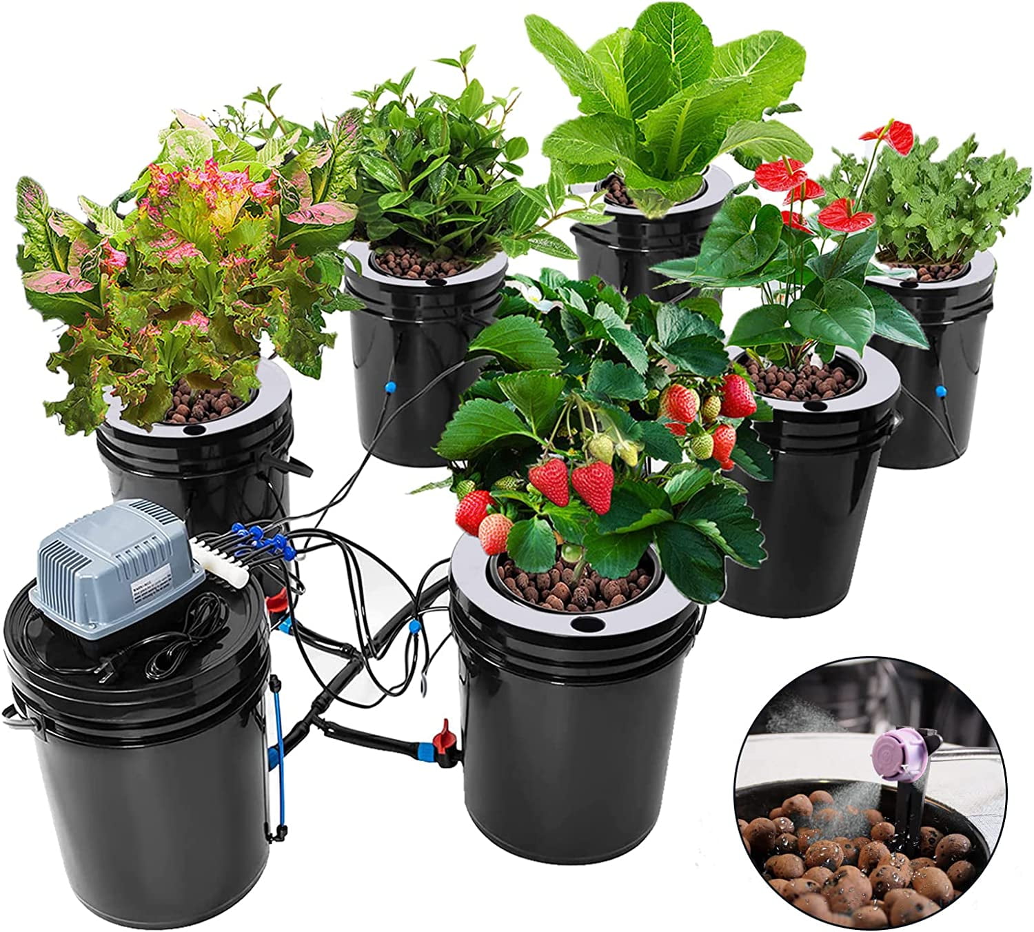 FETCOI DWC 5 Gallon Hydroponics Growing System, 6 Bucket Soilless ...
