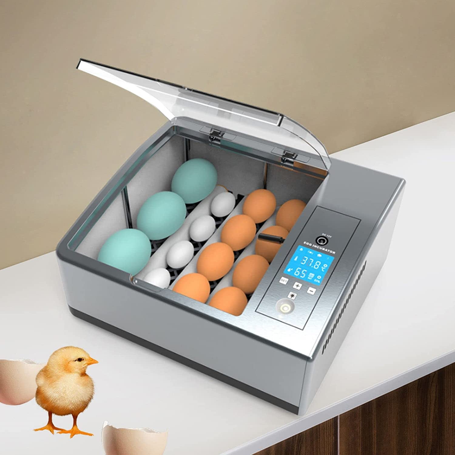 FETCOI Egg Incubator Mini 16 Eggs Fully Automatic Incubator Digital ...